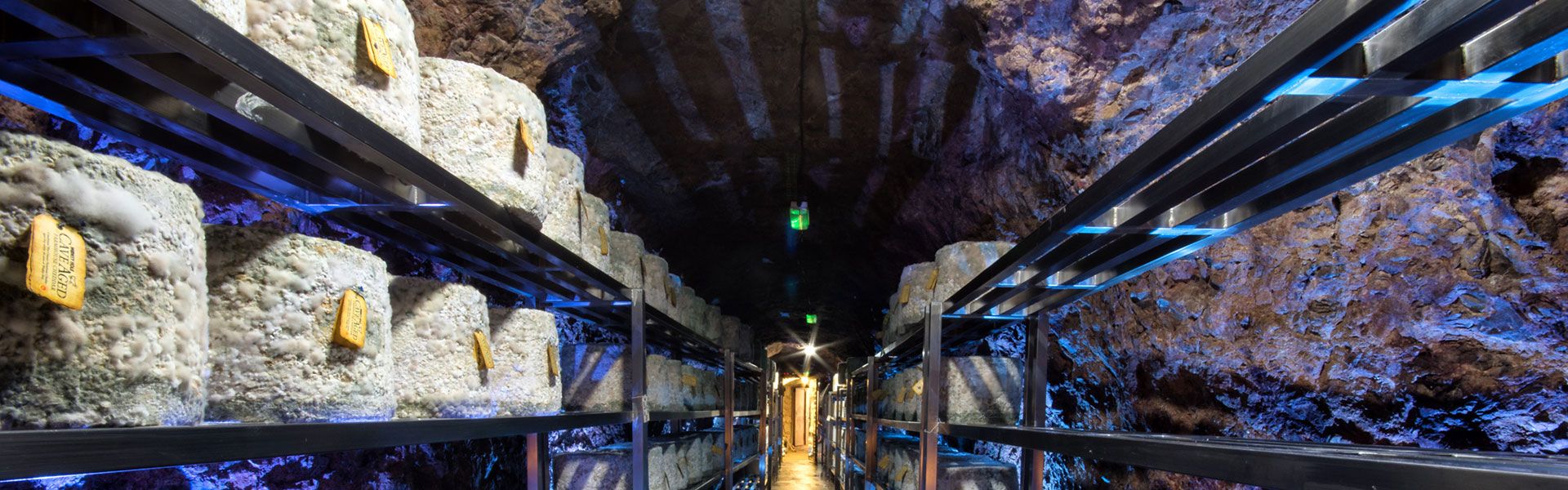 Cave aged cheddar cheese expertly matured within Wookey Hole Caves
