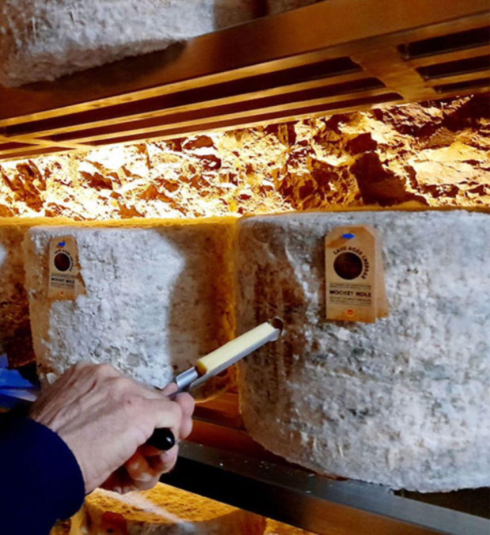 Cave aged cheddar cheese expertly matured within Wookey Hole Caves