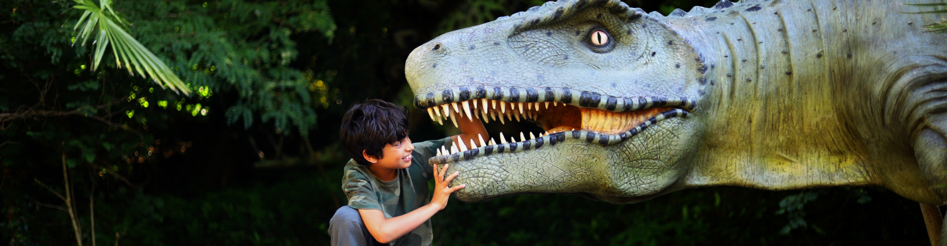 Explore the magical Dinosaur Valley at Wookey Hole